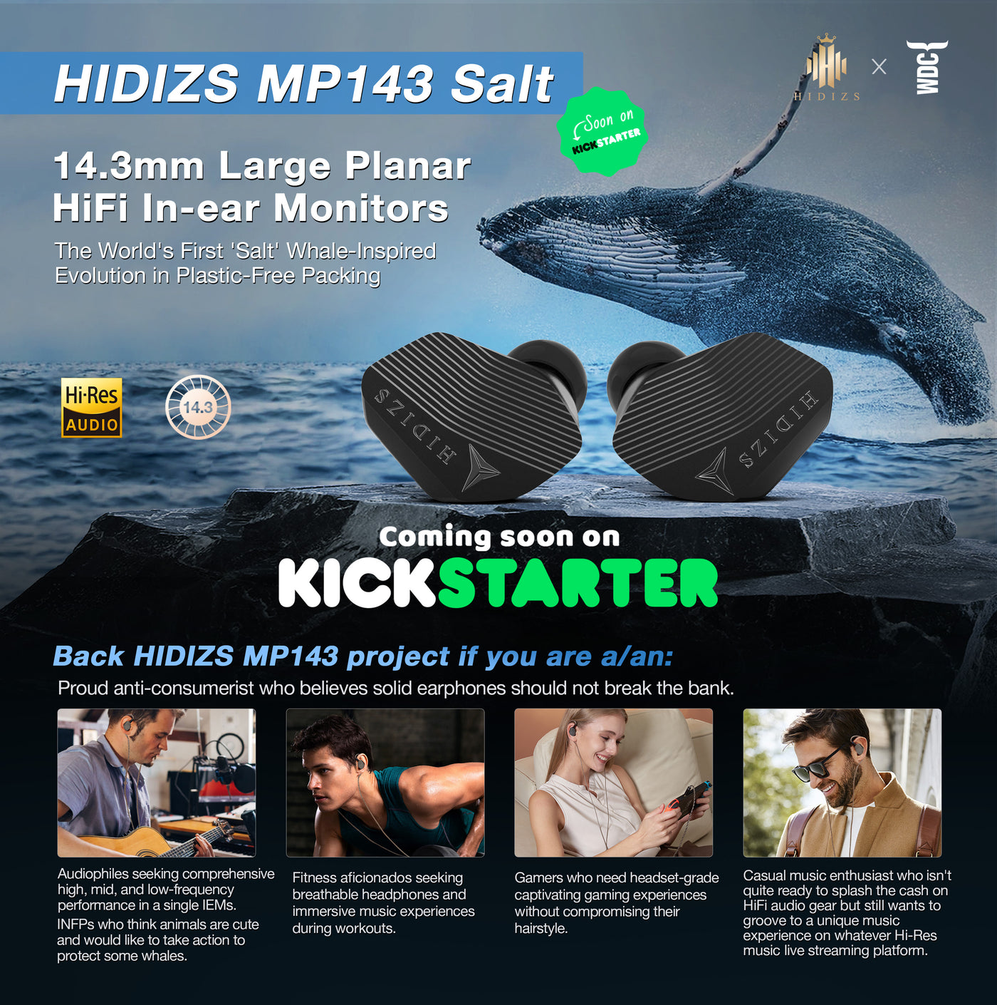HIDIZS MP143 Salt 14.3mm Large Planar HiFi In-ear Monitors